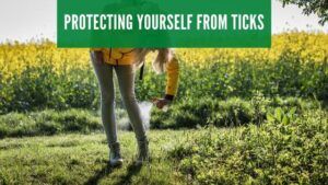 Can Ticks Get Through Clothes? 6 Tips for Preventing Tick Bites