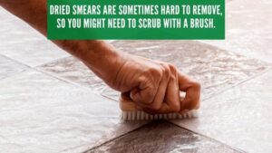 Cockroach Smear Marks: What Do They Indicate?